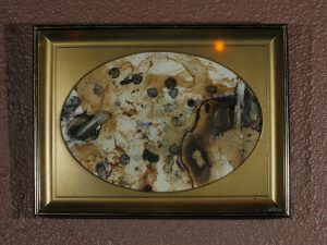 visuals & noise…” – Brian Rendon