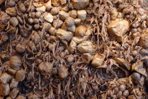 visuals & noise…” – Brian Rendon